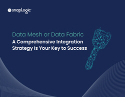 Data Mesh or Data Fabric: A Comprehensive Integration Strategy Is Your Key to Success | TDWI