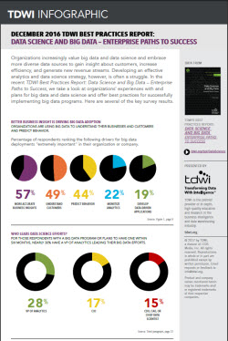 Infographic | Data Science and Big Data: Enterprise Paths to Success | TDWI