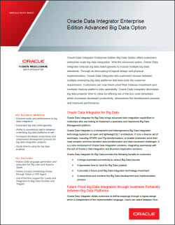 Data Integrator Enterprise Edition Advanced Big Data Option | TDWI