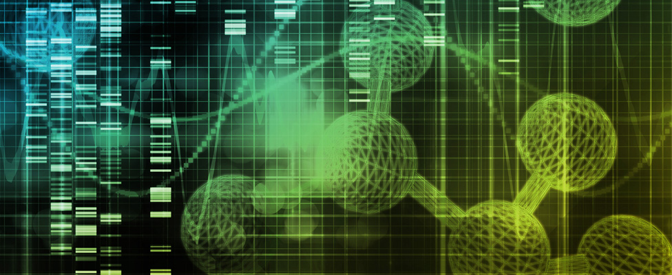 How to Grow a Data Scientist | Transforming Data with Intelligence